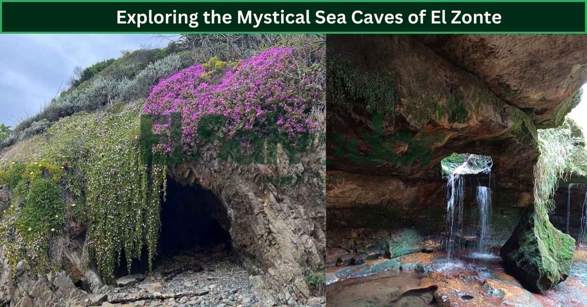 El Zonte Travel Guide: El Salvador’s Surf Paradise 2025