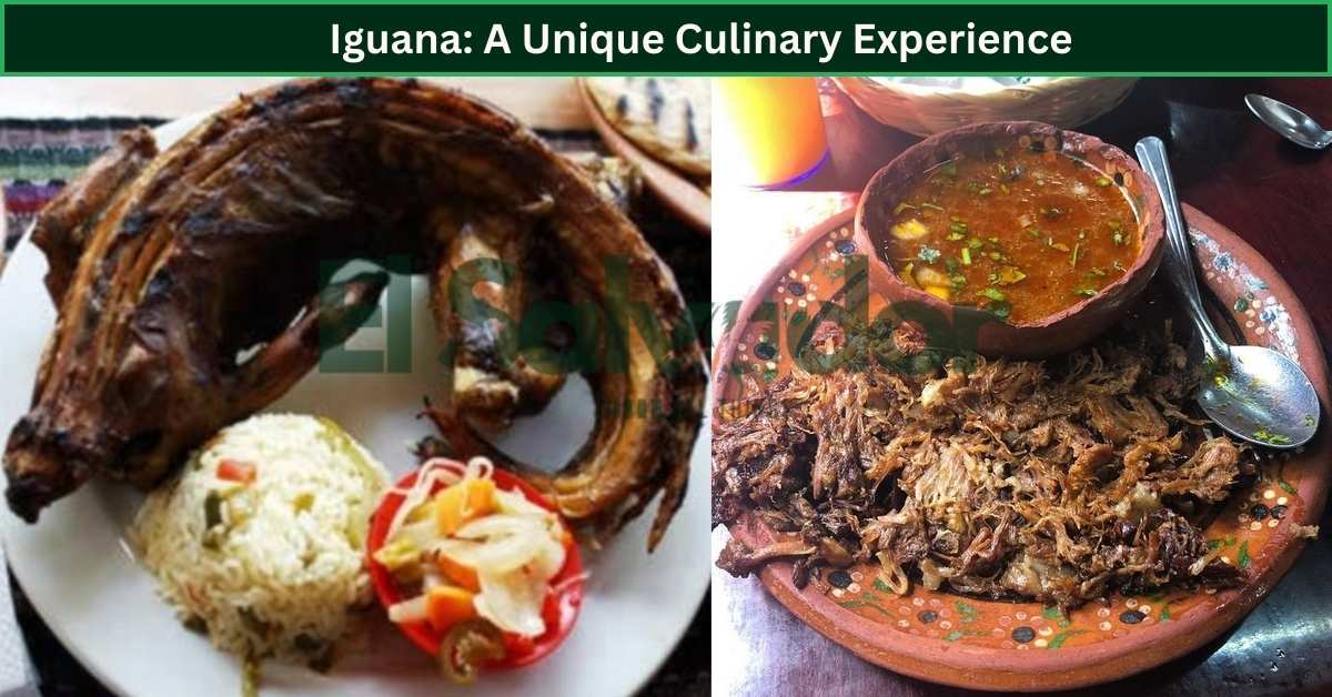 Must-Try El Salvador Foods for an Authentic Taste!